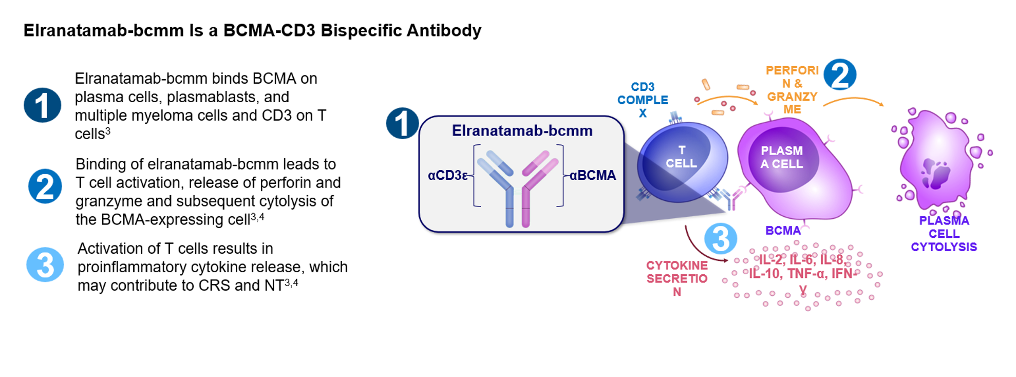 Stage of Development